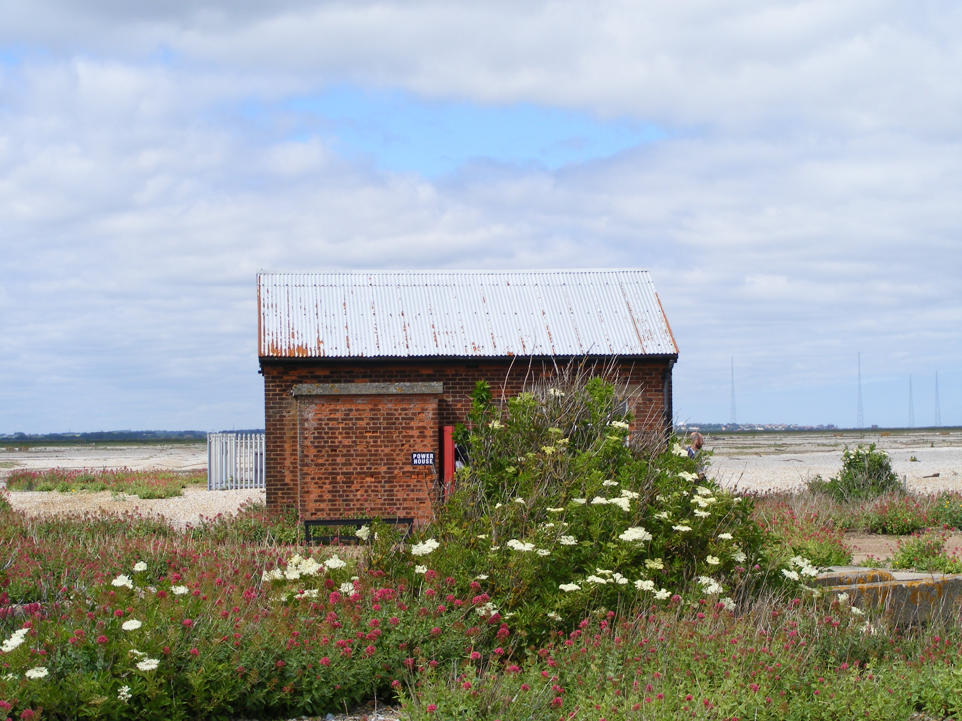 Prose – Francesca Brooks