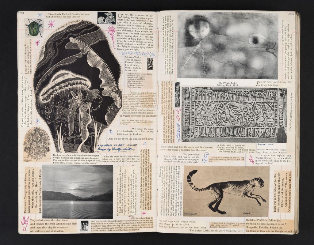 ms_morgan_c_1_0007-1 – Francesca Brooks