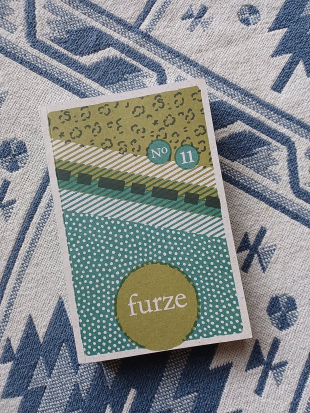 gorse 11: whins/furze…north/south – Francesca Brooks