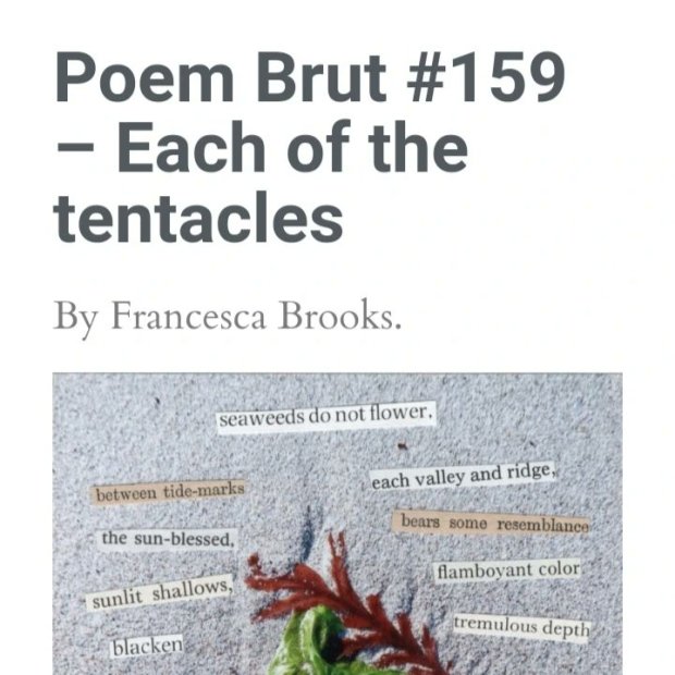 Beachcombed Assemblages – Francesca Brooks